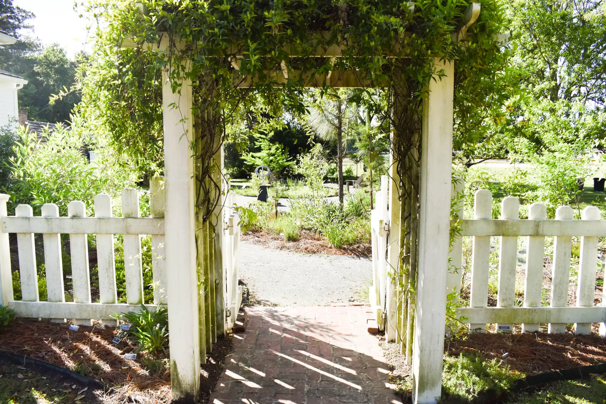 Chinquapin - Visit Duplin County